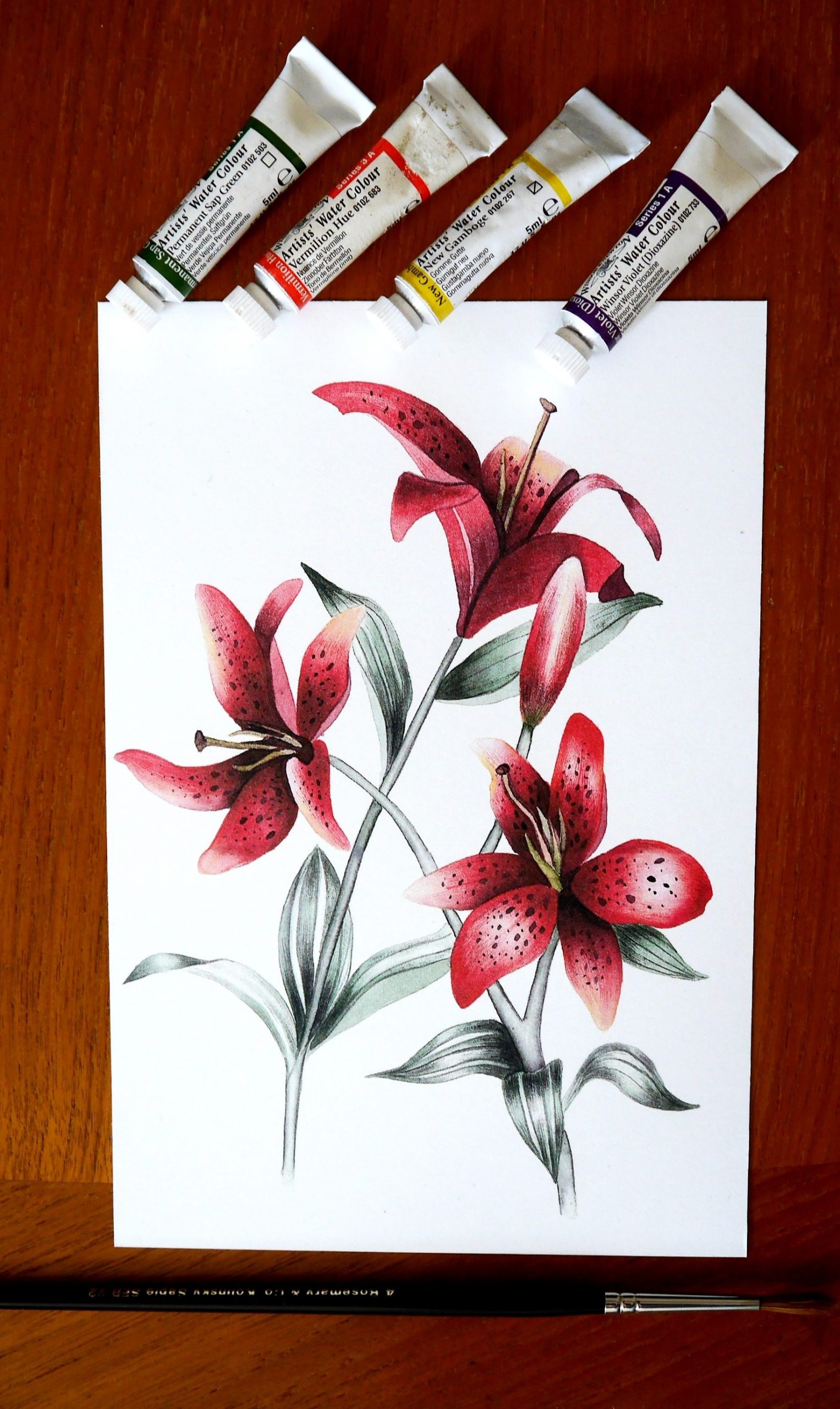 About Dan Barrett - Watercolour Artist & Paint Maker of Handmade ...