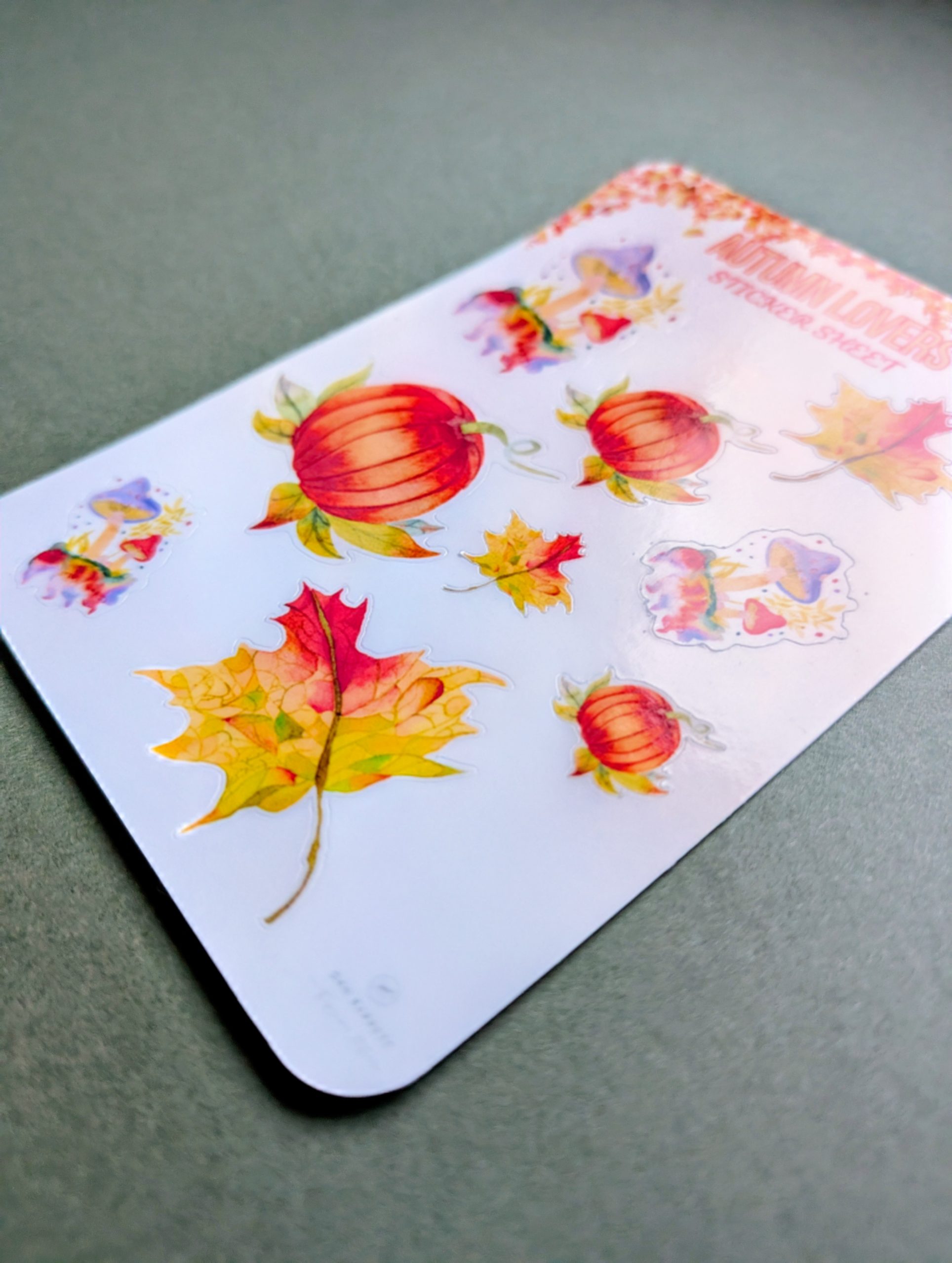 Autumn Lovers Sticker Sheet A6 | Pumpkin, Leaf & Mushroom Autumn ...